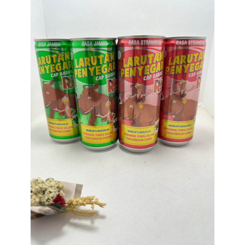 Jual Larutan Penyegar Anak Cap Badak Kaleng 238ml Badak kaleng anak Strawberry Jambu 1 karton ...