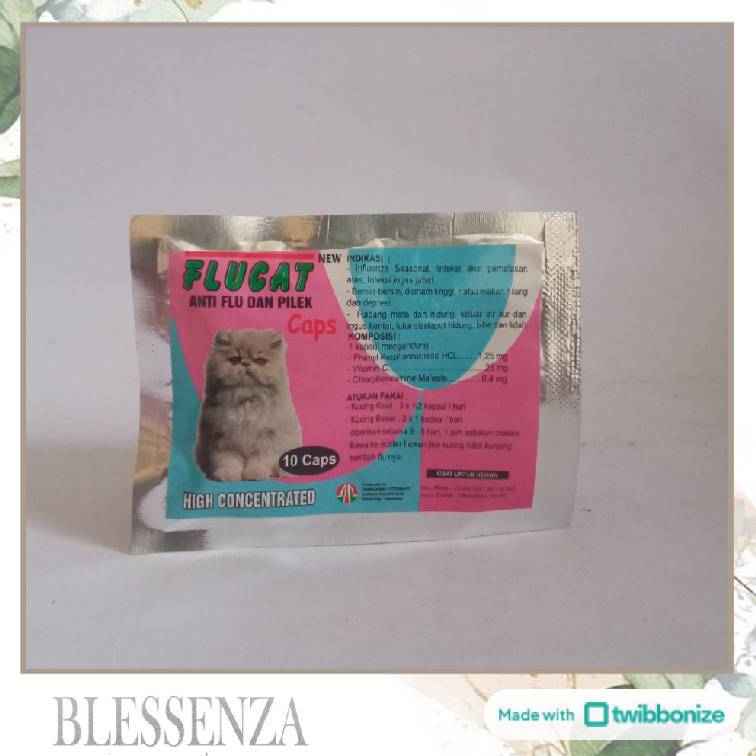 Jual FLU CAT 10 CAPSULE - OBAT ANTI FLU & PILEK KUCING | Shopee Indonesia