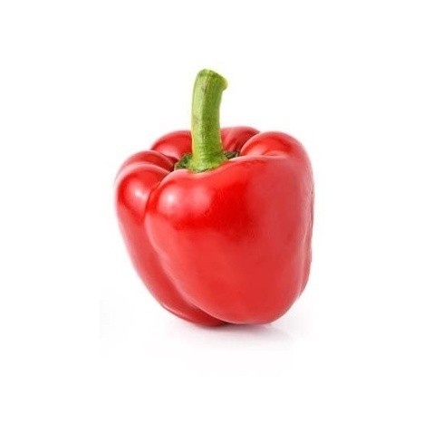 Jual Paprika Merah Organik Satuan (1pc) | Shopee Indonesia
