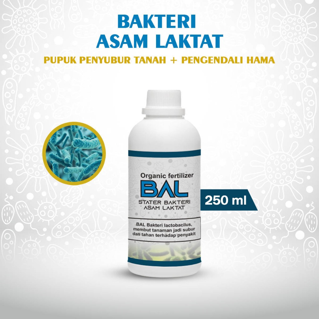 Jual Pupuk Organik Probiotik BAL ( Bakteri Asam Laktat ) Lactobacilus, Penyubur Tanah ...
