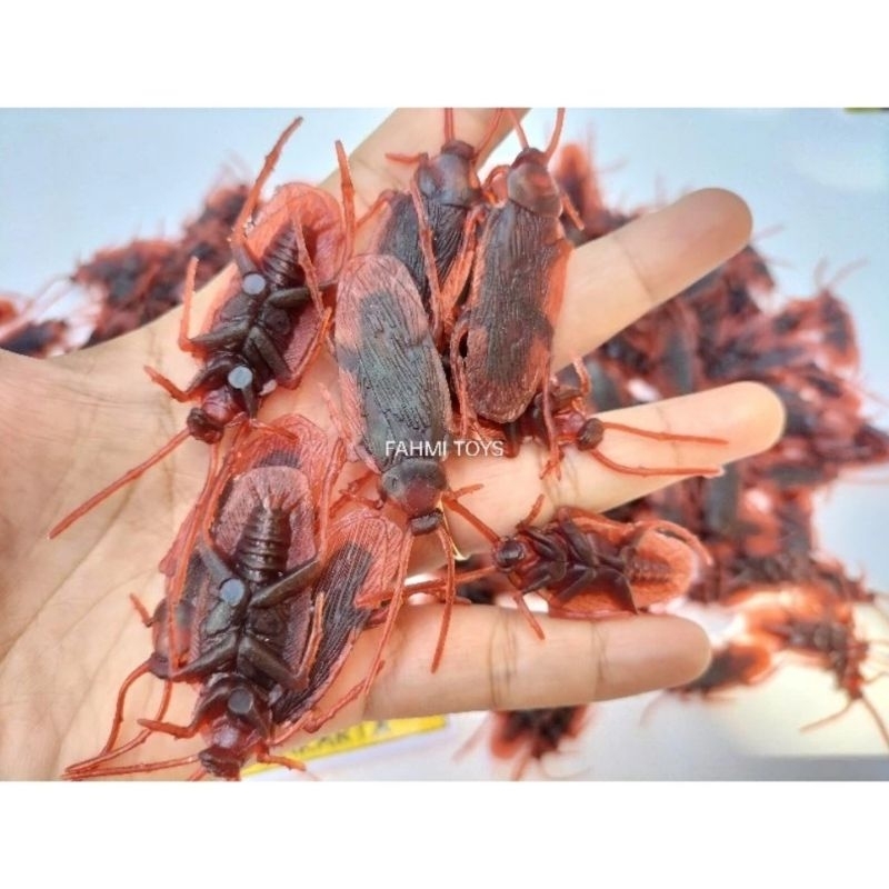 Jual Mainan kecoa | Shopee Indonesia