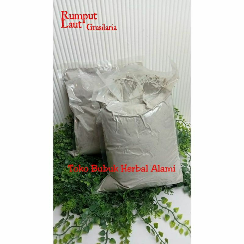 Jual TEPUNG RUMPUT LAUT GLACILARIA SP BUBUK 100gr | Shopee Indonesia