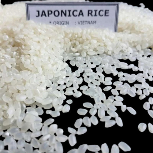 Jual Beras Sushi Japonica OKINIRI 1Kg repack | Shopee Indonesia