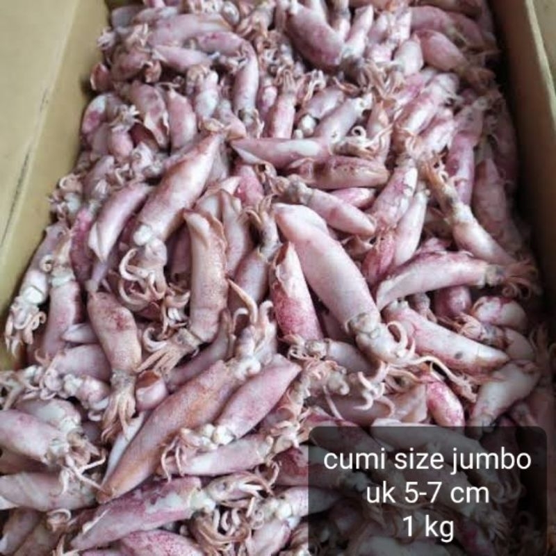 Jual cumi asin rebus size jumbo 1 kg | Shopee Indonesia