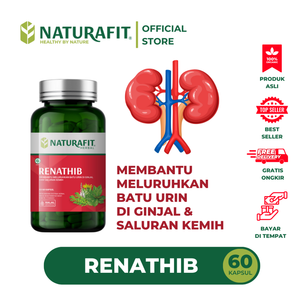 Jual NATURAFIT Renathib - Obat Herbal Ginjal Untuk Meluruhkan Batu Urin ...