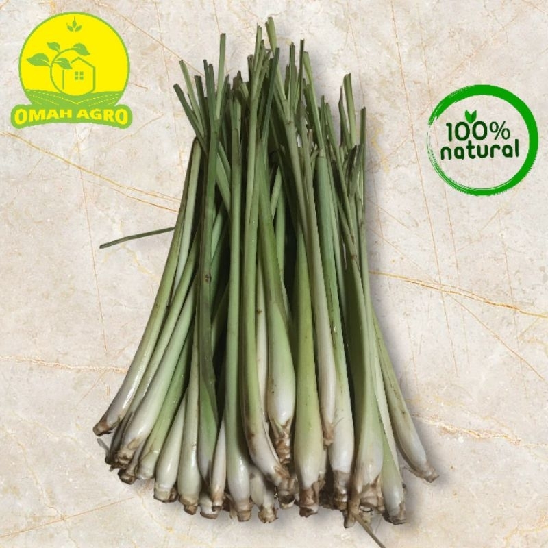 Jual Serai Segar / Sereh Fresh / 250 gr/500gr | Shopee Indonesia