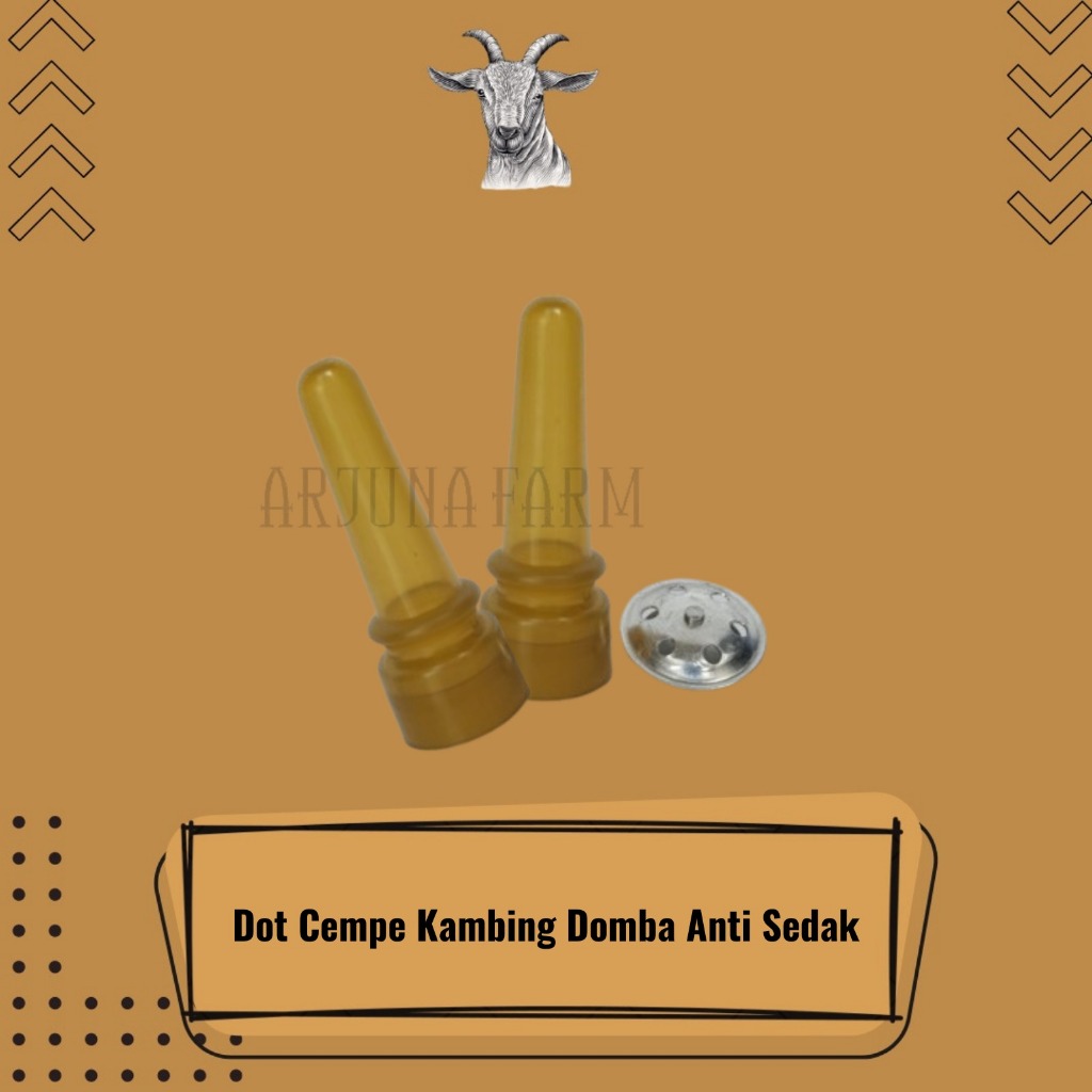 Jual Dot Anak Domba Cempe Kambing Domba Anti Sedak | Shopee Indonesia