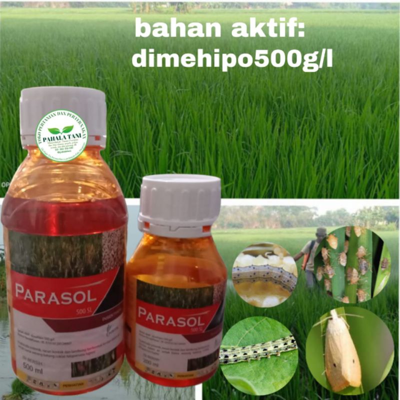 Jual PARASOL 500SL/dimehipo/insektisida/hama wereng/hama kaper/kutudaun ...