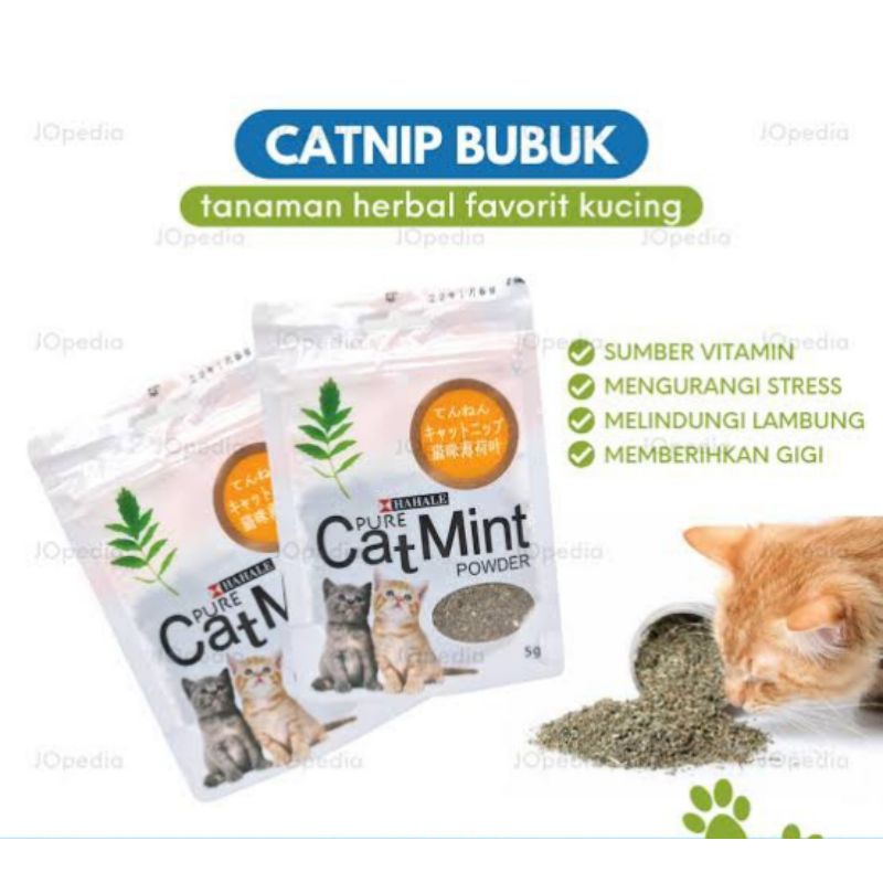 Jual CATNIP BUBUK | Shopee Indonesia Jual CATNIP BUBUK | Shopee Indonesia