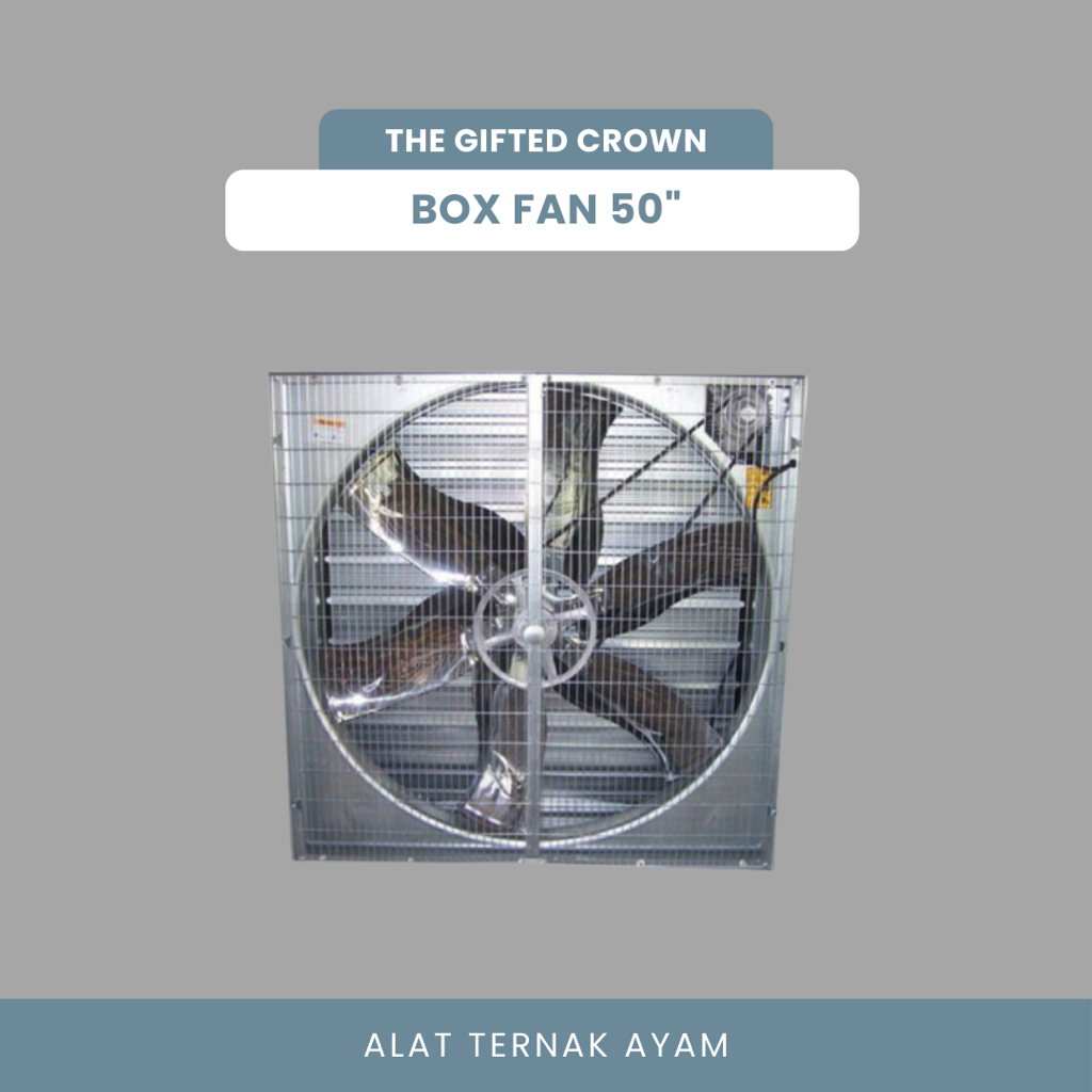 Jual BOX FAN 50 INCH/EXHAUST FAN/CENTRIFUGAL/KIPAS KANDANG AYAM UNGGAS ...