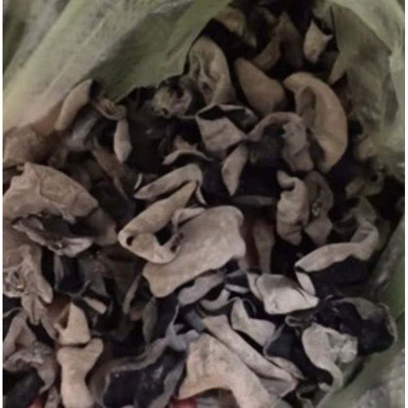 Jual Jamur Kuping hitam kering asli Gunung Chang Bai Dong Bei/ Hei Mu ...