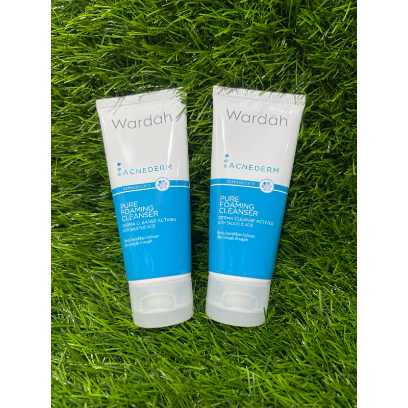 Jual Wardah Acnederm Pure Foaming Cleanser || wardah Face Wash Acne ...
