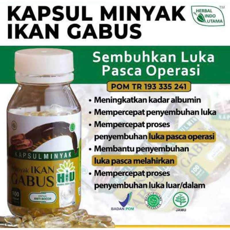 Jual Minyak Ikan Gabus 60 kapsul Original Bpom Penyembuhan luka | Shopee Indonesia