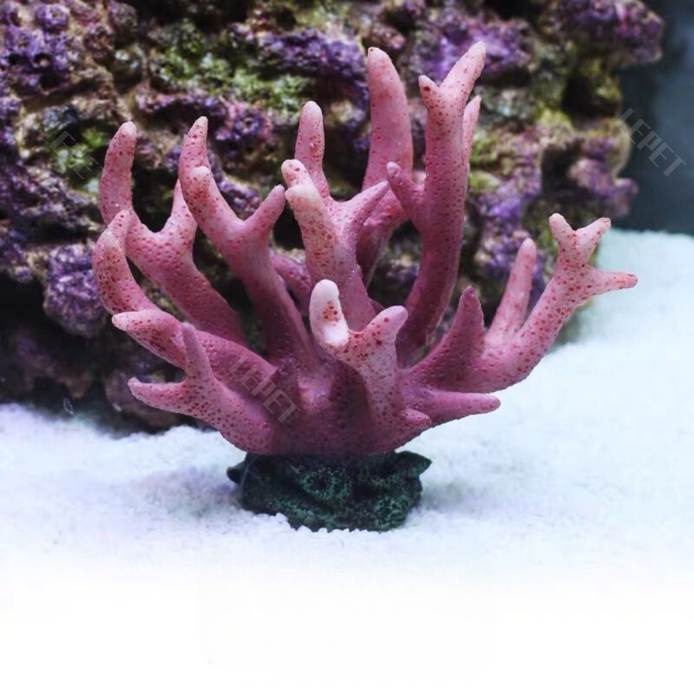 Jual Karang tanduk rusa, hiasan aquarium karang tanduk, hiasan karang ...