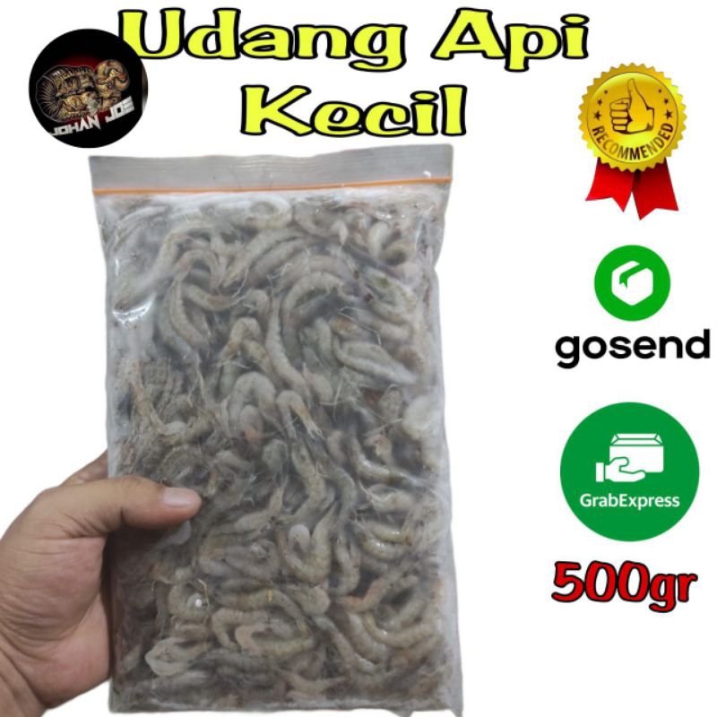 Jual UDANG API BEKU SEGAR 500GRAM AR FOOD GRADE JAMINAN TANPA BAU SEGAR ...