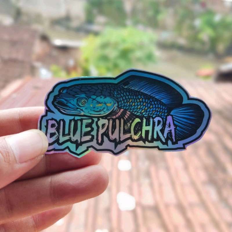 Jual Stiker Ikan Channa Blue Pulchra Ukuran 7cm | Shopee Indonesia