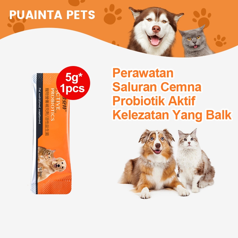 Jual PUAINTA 1 Pack Probiotik Kucing dan Anjing Probiotik Sangat Aktif ...