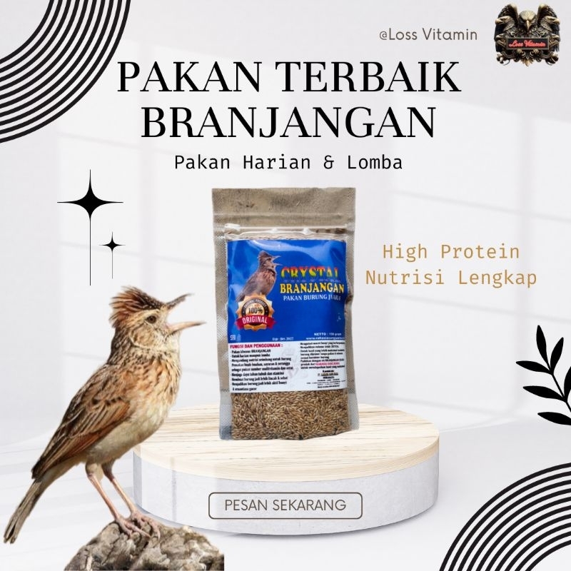 Jual PAKAN BURUNG BRANJANGAN UNTUK HARIAN LOMBA HIGH PROTEIN RAHASIA ...