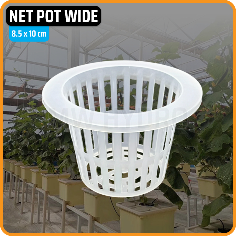 Jual Hydroponic Net Pot Wide - Netpot Hidroponik - 8.5x10 cm | Shopee ...