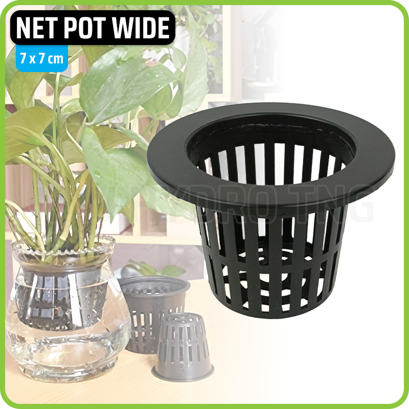 Jual Hydroponic Net Pot Wide - Netpot Hidroponik - 7x7 cm | Shopee ...