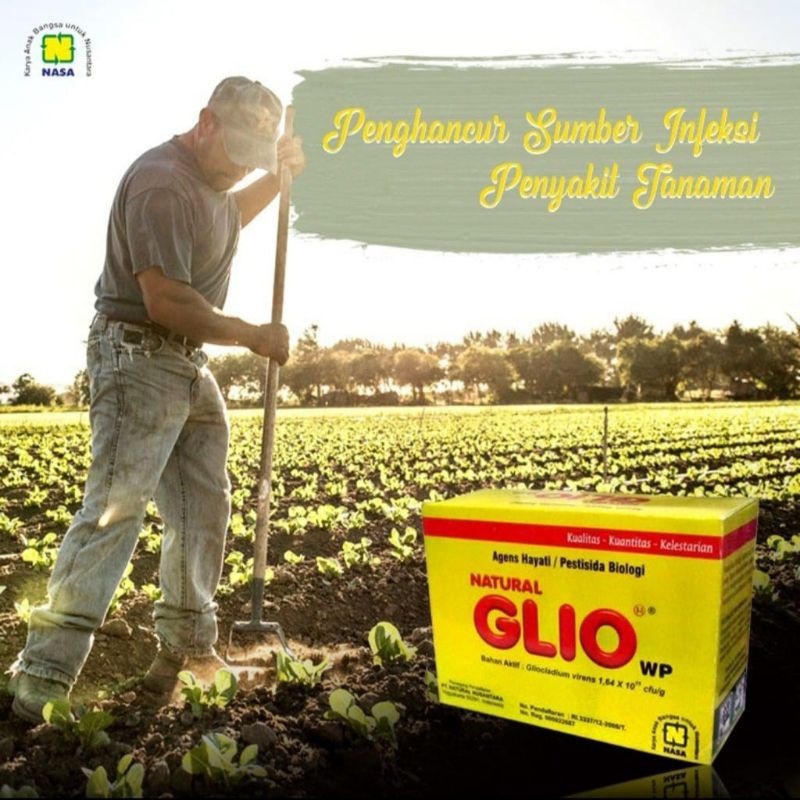 Jual GLIO NASA | PENGENDALI HAMA DAN PENYAKIT PADA TANAMAN | OBAT ...