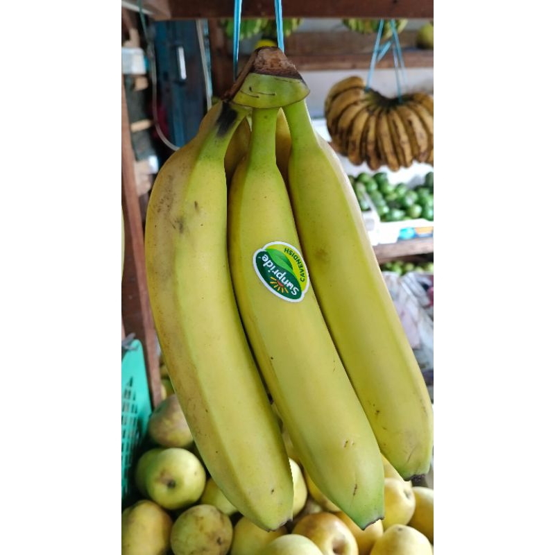 Jual BUAH PISANG SUNPRIDE CAVENDISH | Shopee Indonesia