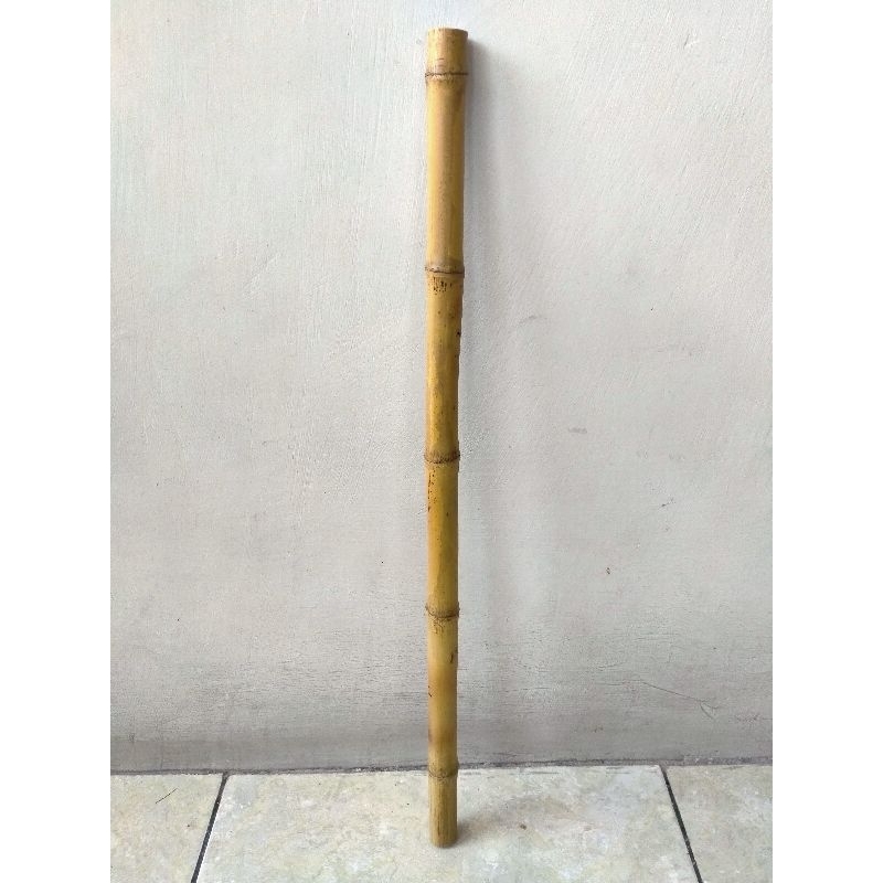 Jual BAMBU UNIK BUTA/TANPA MATATUNAS 5 SUSUN (59 CM) | Shopee Indonesia