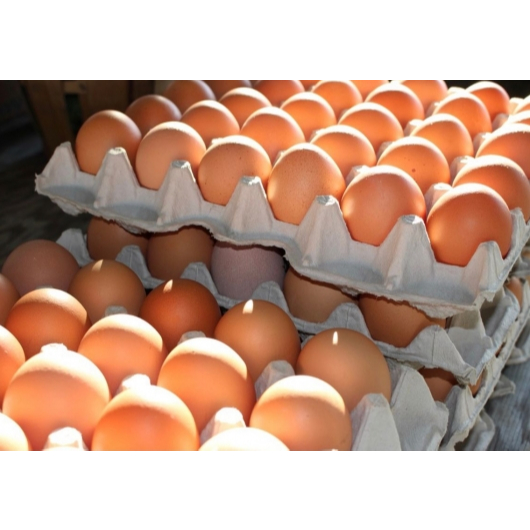 Jual Telur Telor Ayam Negeri PREMIUM Fresh - 30 butir / 1 tray (CREAM ...