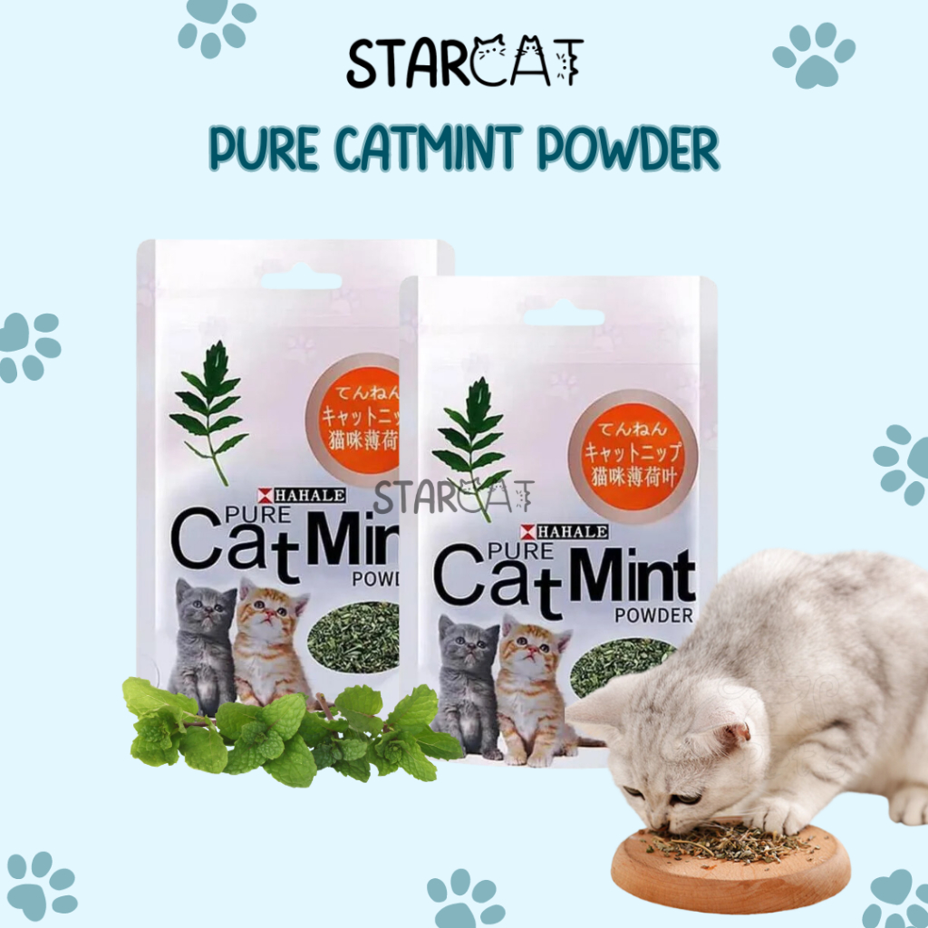 Jual SC Catnip Pure Catmint Powder 5gr Bubuk Relaksasi Kucing Natural ...