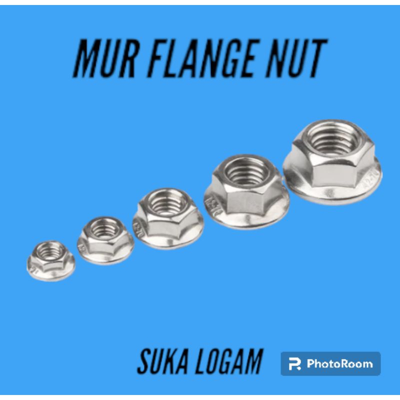Jual Mur FLANGE NUT M6 Stainless Steel 304 A2-70. Drat 10 | Shopee ...