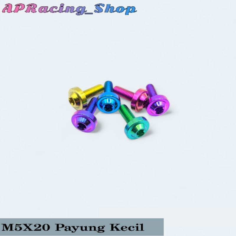 Jual Baut Titanium M5X20 Baut Windshield Payung Kecil Drat 8 Panjang 2 cm Titanium GR5 Original ...