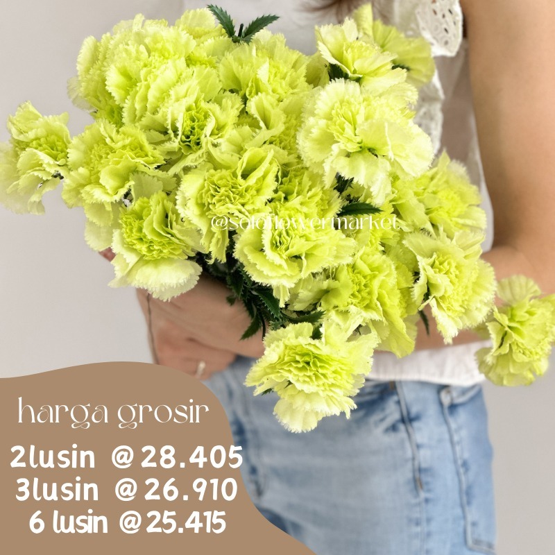 Jual BIG CARNATION BOUQUET X6 ARTIFICIAL FLOWER BUNGA PALSU BUNGA ...