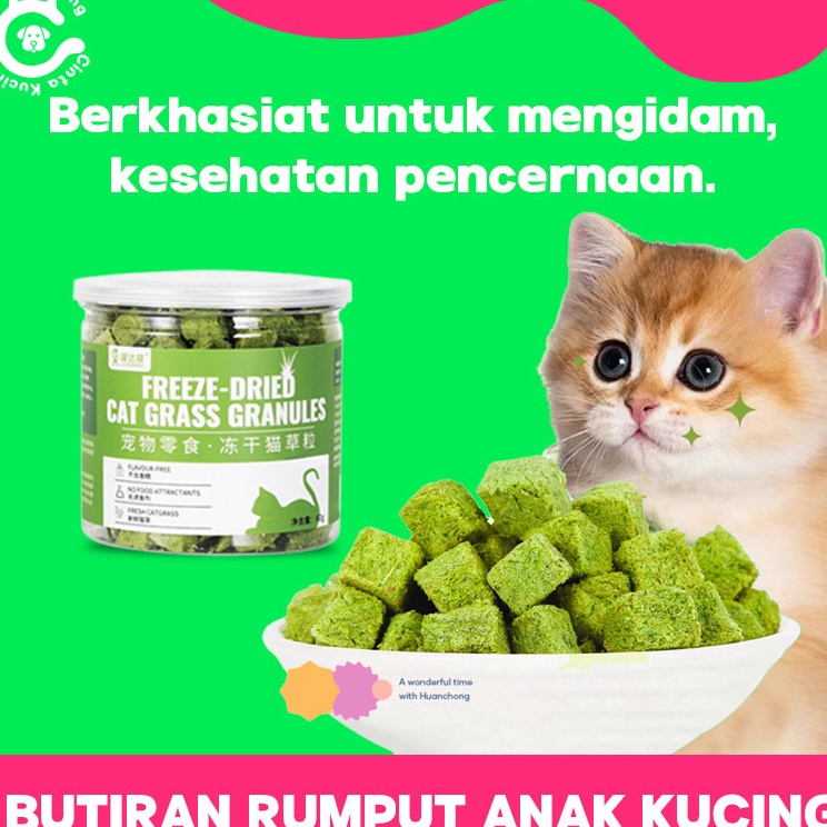 Jual 6g Rumput Beku Kering Snak Kucing Snack Kucing Murah Camilan Hewan ...