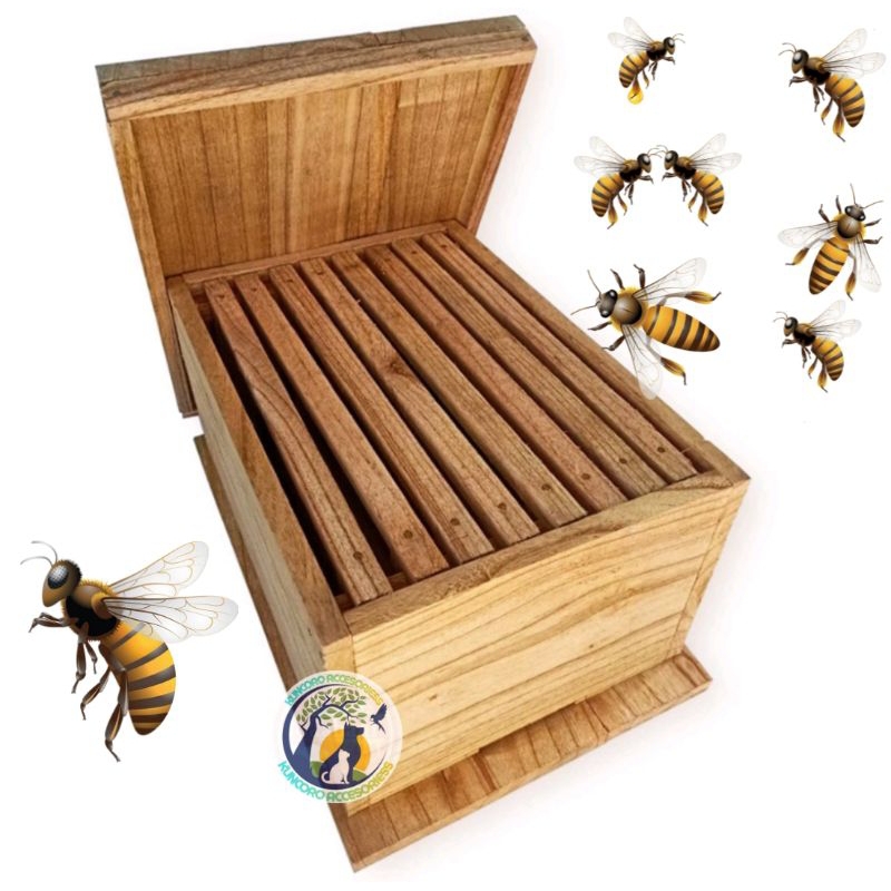 Jual Kotak Lebah Apis Cerana Jumbo Kotak Lebah Jebakan Lebah Sudah ...