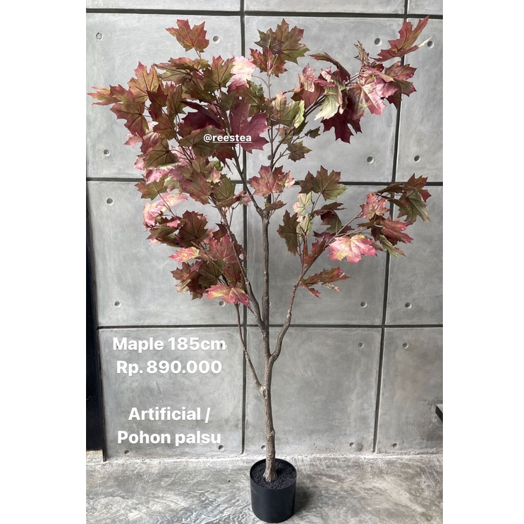 Jual Pohon Maple Tinggi 185cm / Pohon Hias Palsu/ Artificial plant ...