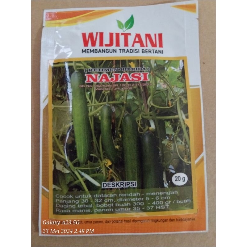 Jual Timun Najasi isi 20 gram wijitani | Shopee Indonesia