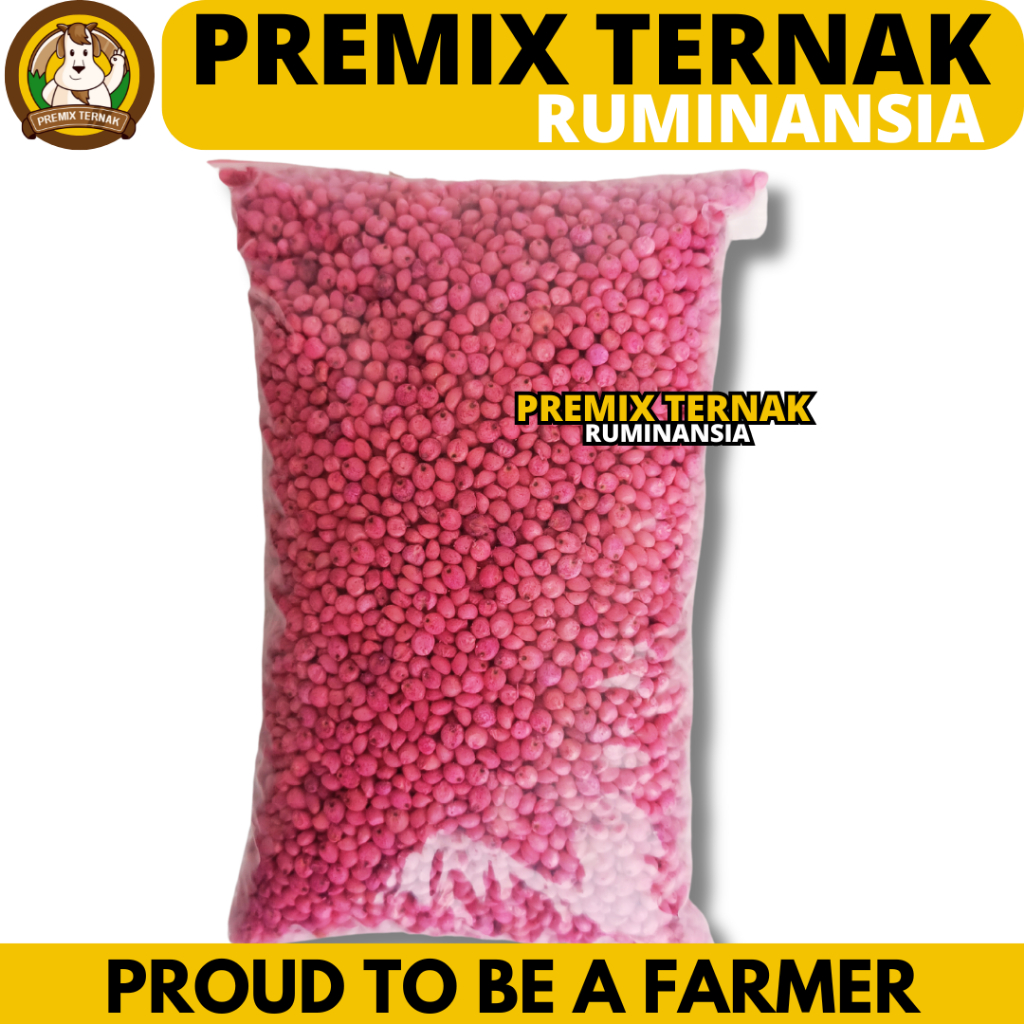 Jual BENIH SORGUM BIOGUMA TIPE 2 - Biji sorghum bioguma - Benih Sumber ...