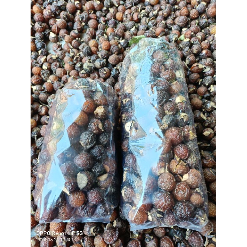 Jual Buah lerak / klerek / klerak super busa melimpah ada biji dan ...