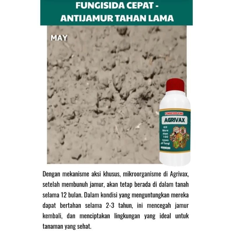 Jual Agrivax Fungisida - Pembasmi Semua Jenis Jamur Terampuh Pada ...