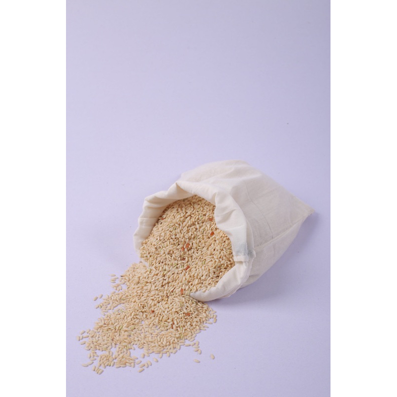 Jual TERUMURAH!!!! BENIH RUMPUT BRACHIARA HUMIDICOLA PREMIUM ( RENDLE ...