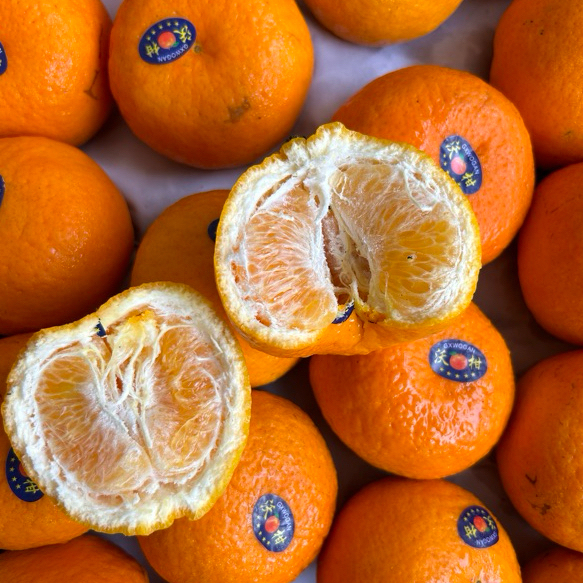 Jual Jeruk Wokam Mandarin | Jeruk Mandarin Wogan Manis | Shopee Indonesia