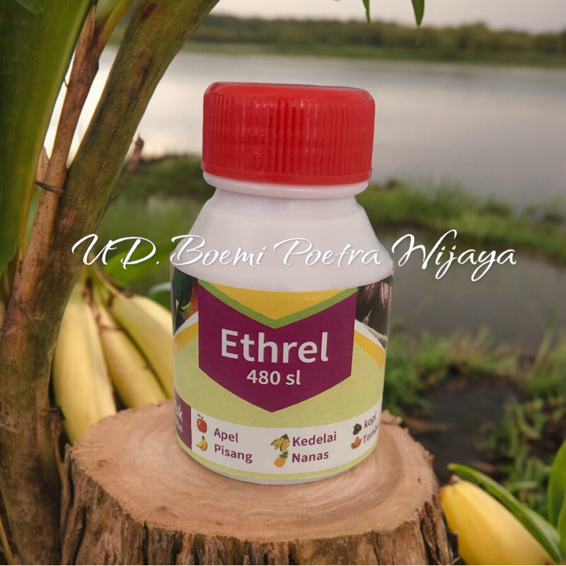 Jual Ethrel 480SL pemasak buah dan tembakau | Shopee Indonesia