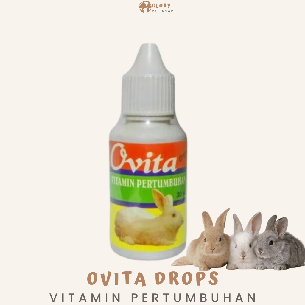 Jual OVITA DROP OBAT VITAMIN PERTUMBUHAN NUTRISI KELINCI RABBIT VITAMIN ...