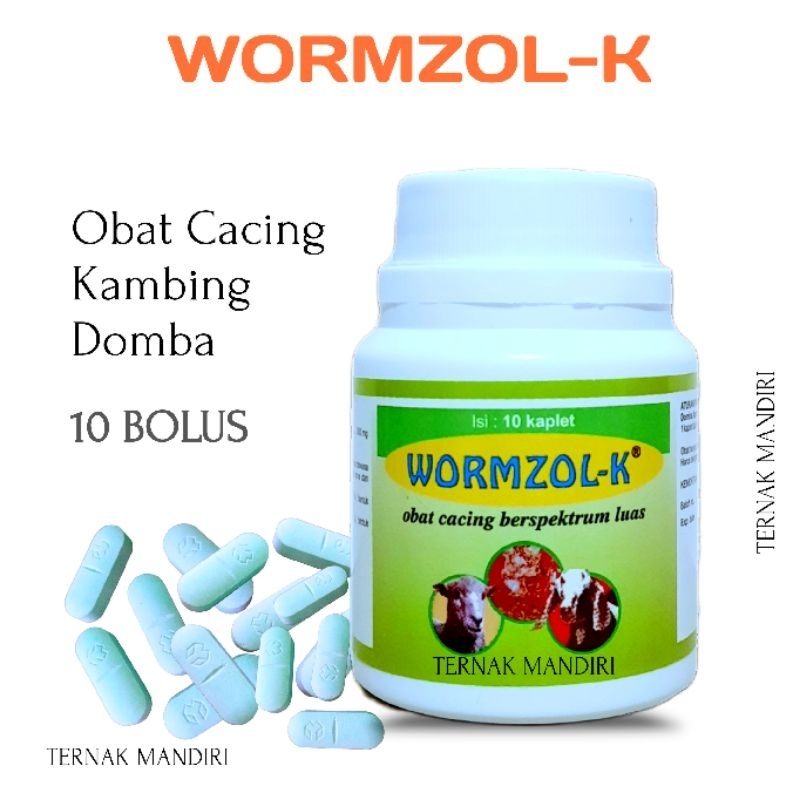 Jual WORMZOL K MEDION 10 KAPLET Obat cacing kambing domba | Shopee ...