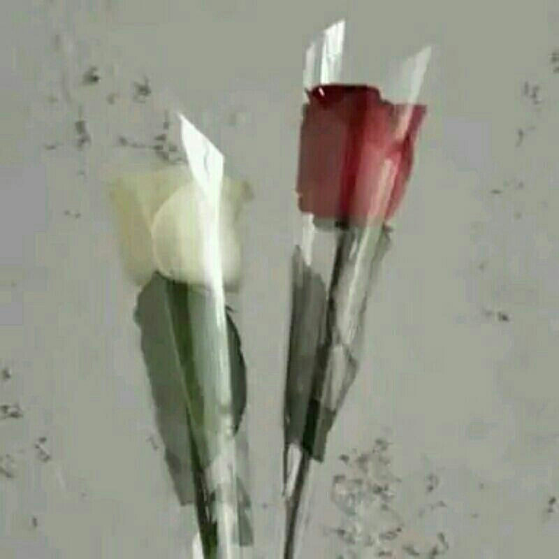 Jual bunga buket satu tangkai (beli 1 gratis 1) | Shopee Indonesia