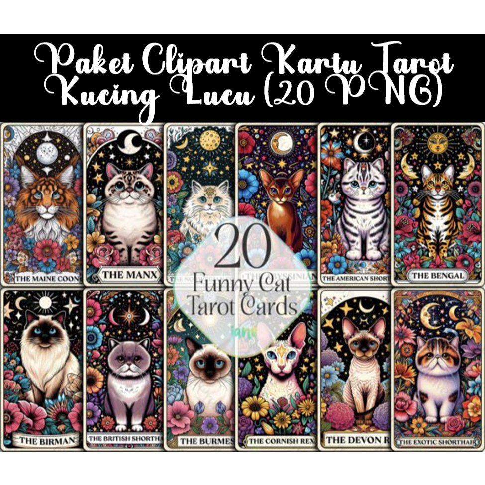 Jual Paket Clipart Kartu Tarot Kucing Lucu (20 PNG) | Shopee Indonesia