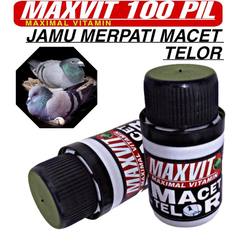 Jual JAMU MERPATI MACET TELOR MAXVIT ISI 100 BUTIR atasi tuntas merpati ...