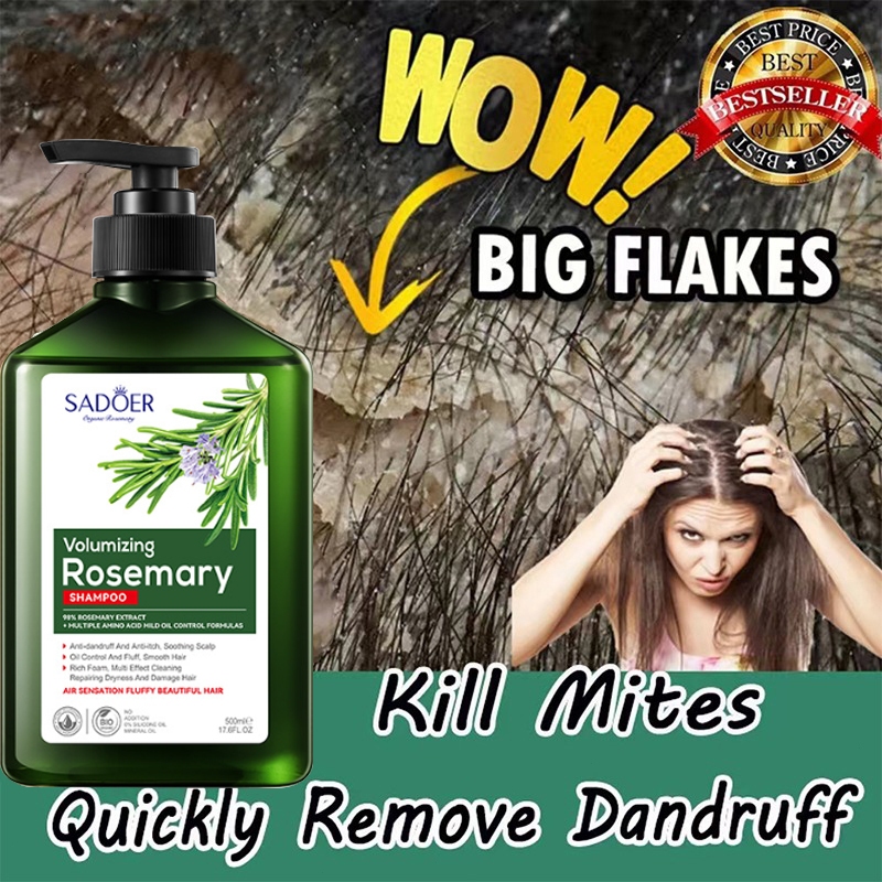 Jual Rosemary Ketombe Sampo 500ml Mengontrol Minyak Dan Menyegarkan ...