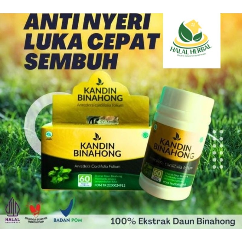Jual KANDIN BINAHONG - Kapsul Ekstrak Daun Binahong BPOM | Shopee Indonesia