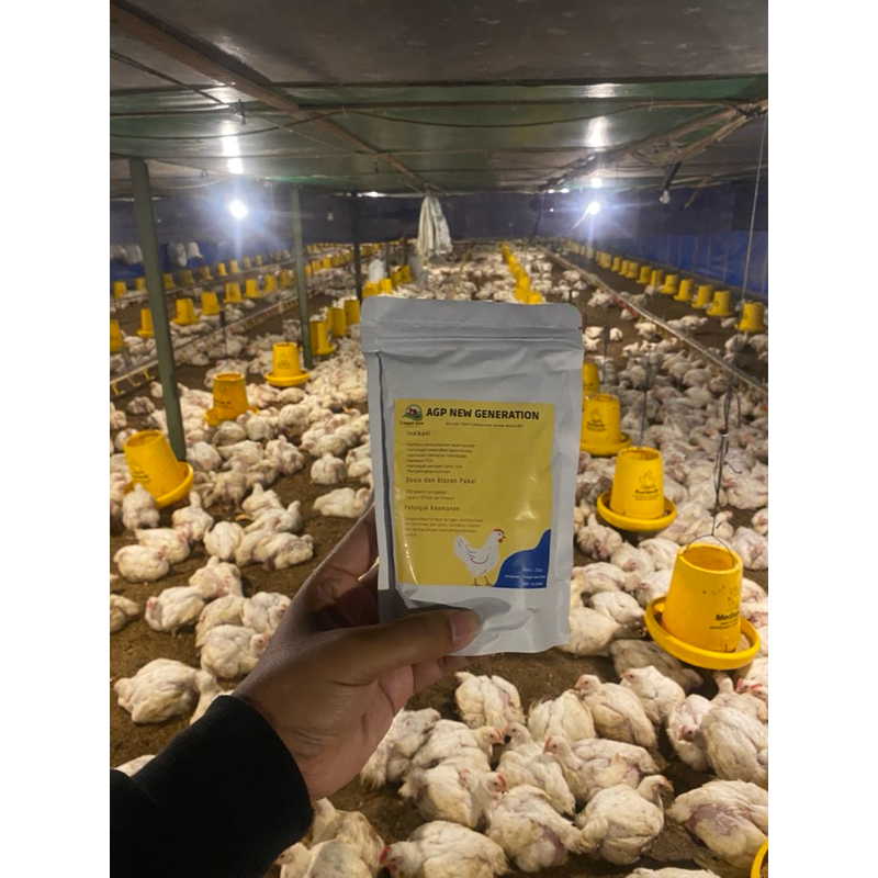 Jual Harga Pakan Ayam Broiler Terlengkap & Harga Terbaru Mei 2026 ...